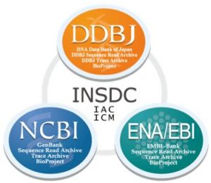 数据淘金——公共数据再利用 | 百迈客云