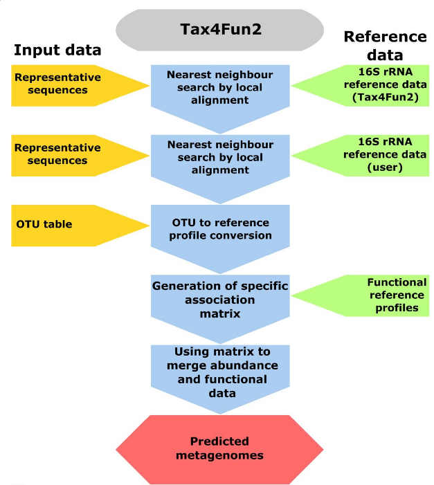 微生物分析平台个性化分析更新 | 百迈客云